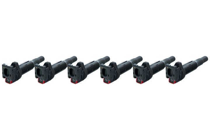 Ignition Projects Coil pack for BMW Variations 6-Pack — EDO Performance